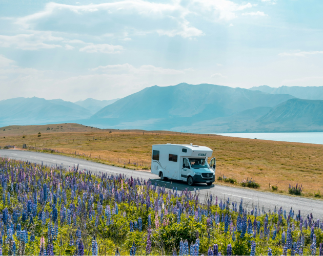 12 Dream Spring Road Trips For Car Campers, Truck Campers, and Vanlife ...