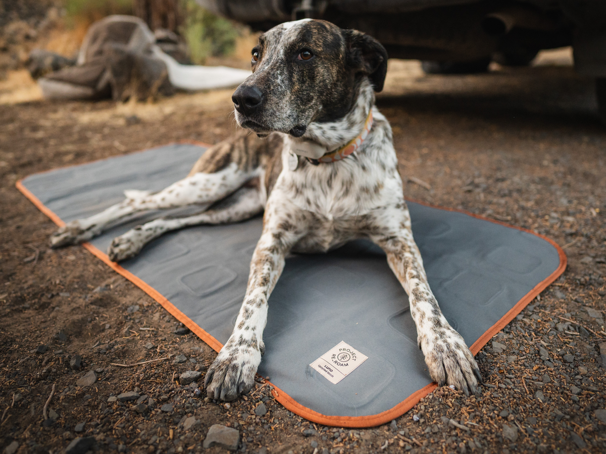 Large Outdoor Ground Mat – Luno®